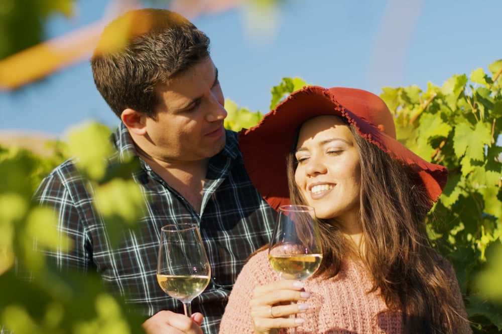 Experience the Best of Pokolbin Wine Tours in One Day